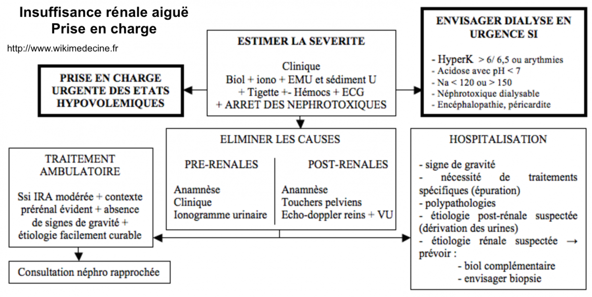Insuffisance rénale aiguë — Wikimedecine